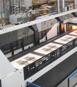 POP Displays - Bay Cities